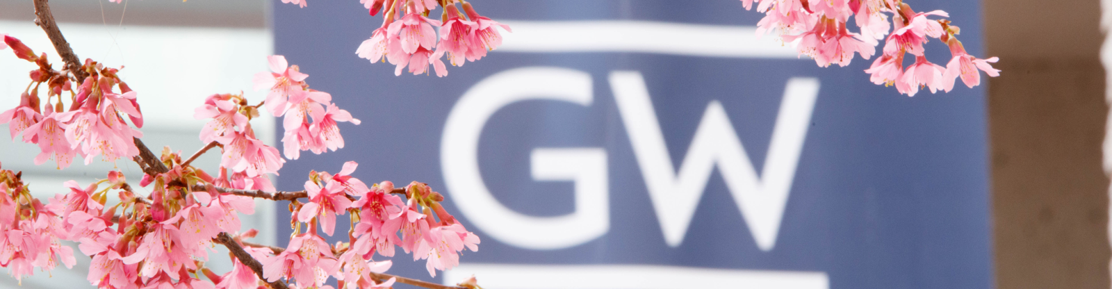 Title IX at GW | Title IX Office | The George Washington University